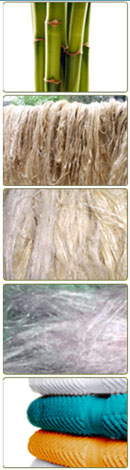 Strictly Bamboo - for a greener planet